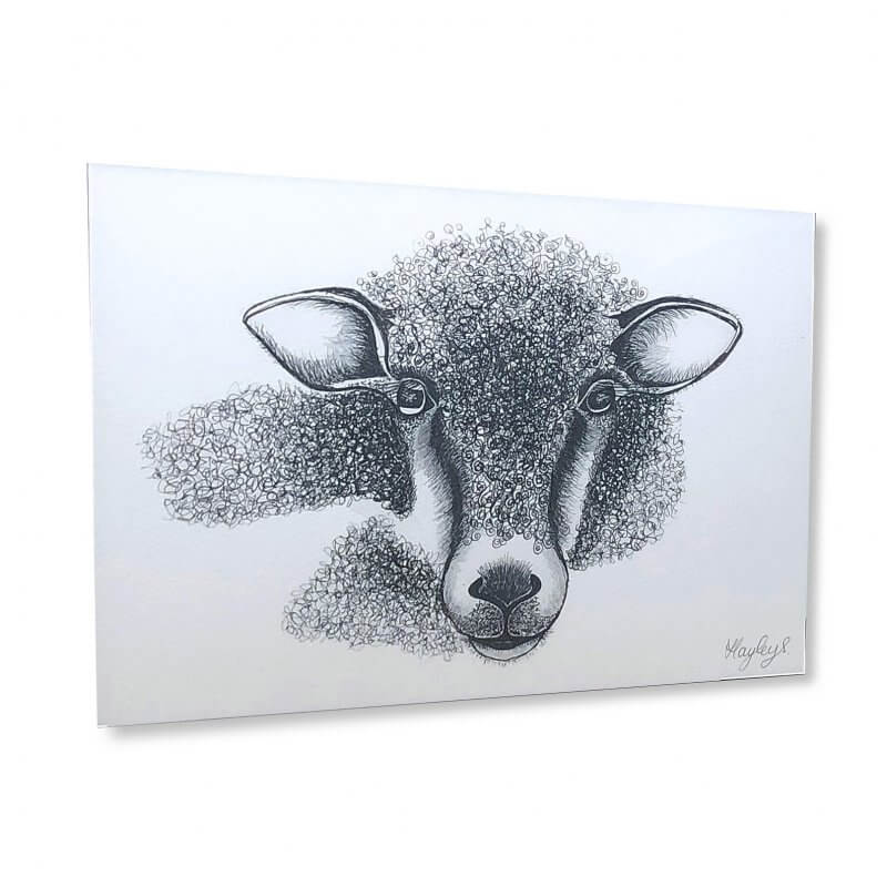 Sheep Signed Original Print - HayleStar Artworks